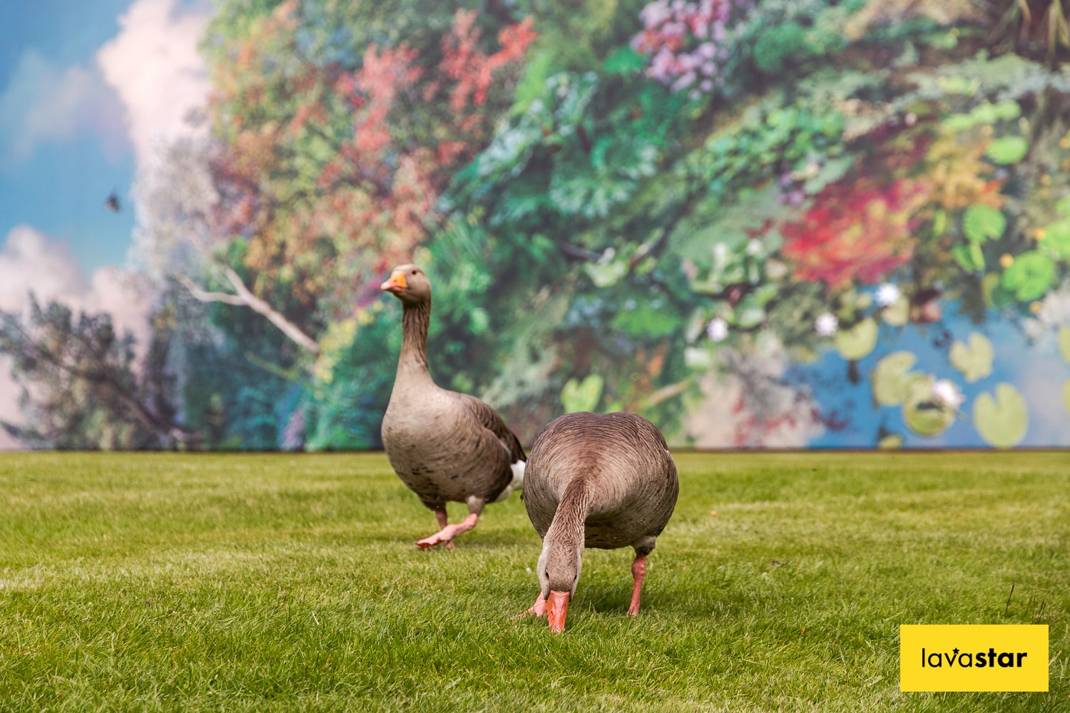 Wakehurst Signage Case Study - Lavastar